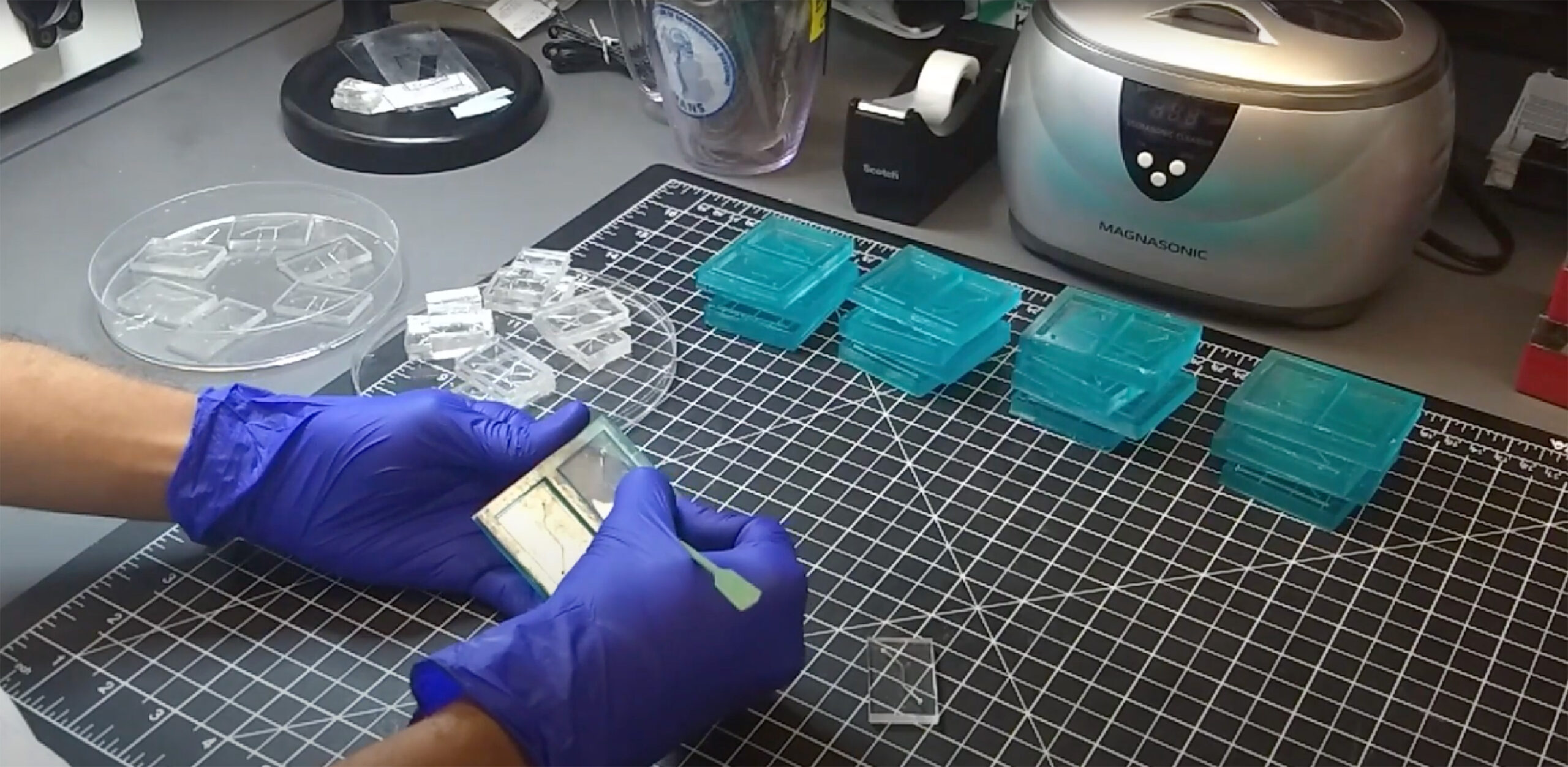 Anti-Vivisection - Exploring Alternatives to Vivisection