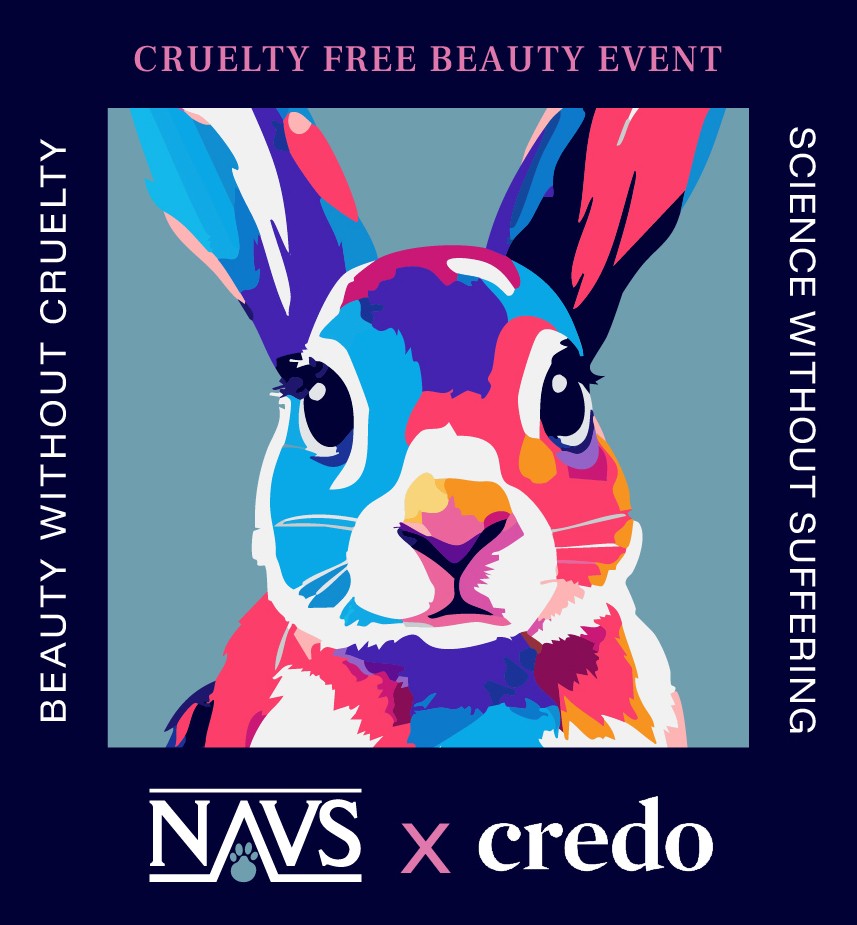 NAVS x Credo Event Recap
